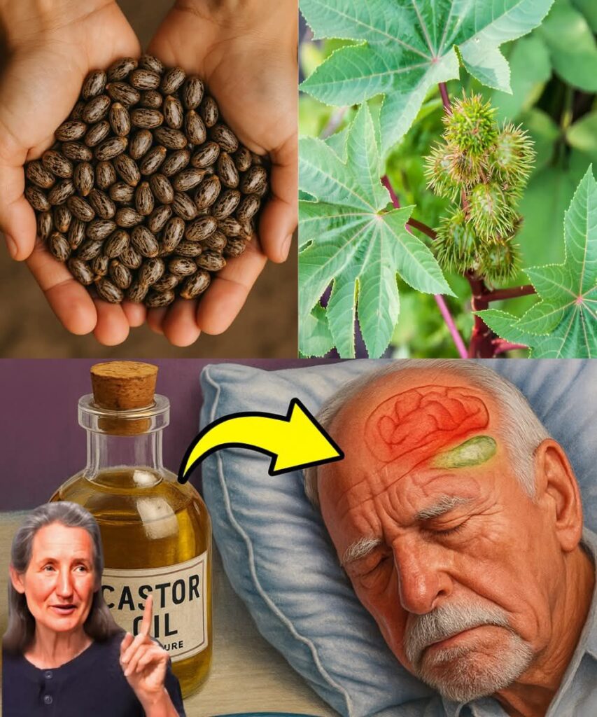 How Can I Remove Tooth Decay Myself? The Honest Truth (And What ...