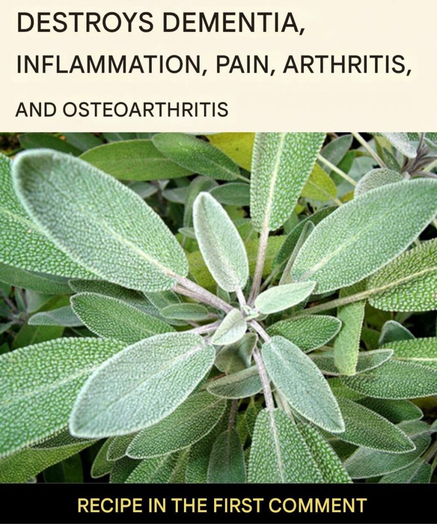 Minneapolis Identifies ICU Nurse Killed in Confrontation Involving ...