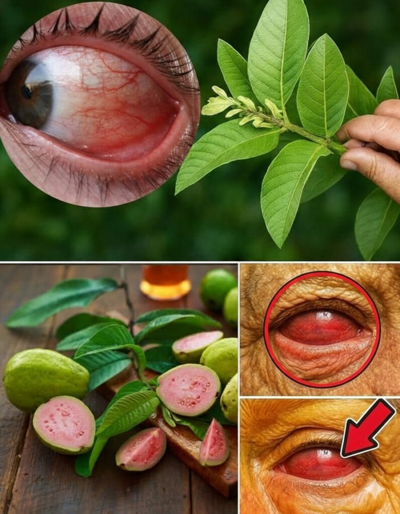 Guava: The Natural Secret to Take Care of Your Eyes and Improve Your ...